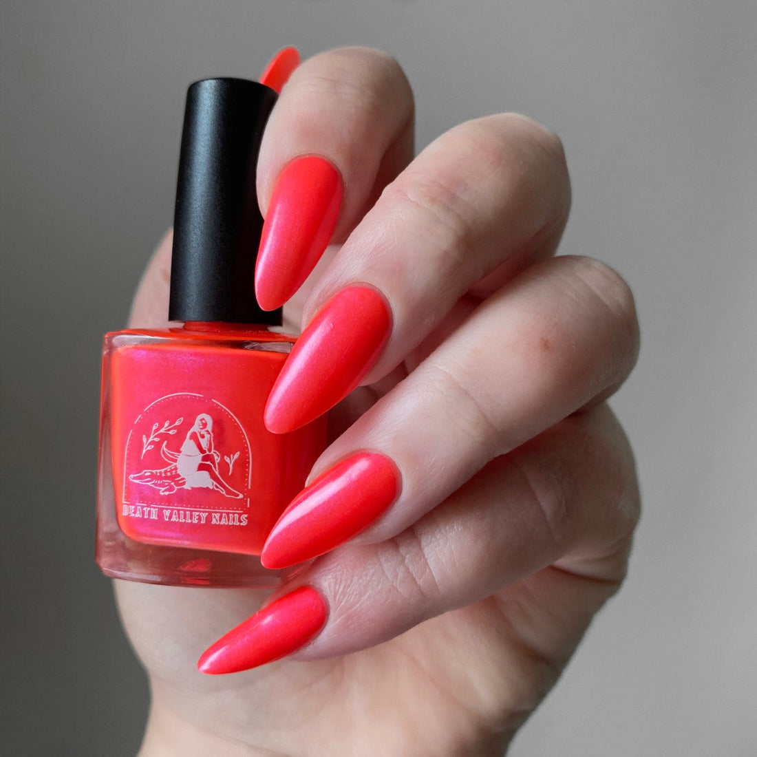 AN ELECTRIC EEL IN LOVE – Death Valley Nails