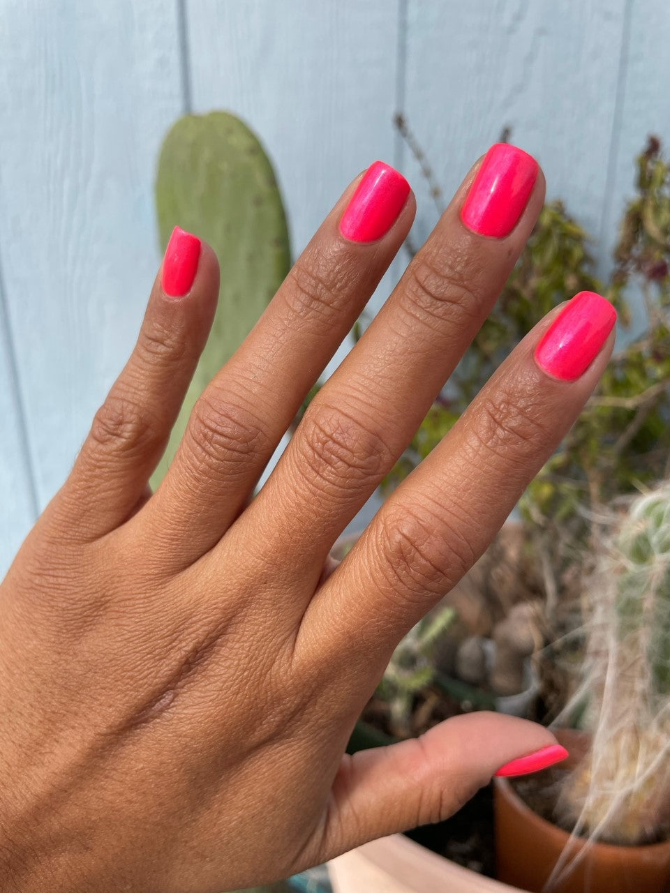 AN ELECTRIC EEL IN LOVE – Death Valley Nails