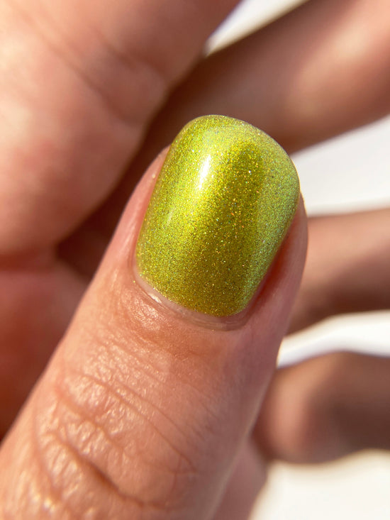 TERRESTRIAL SLUG – Death Valley Nails