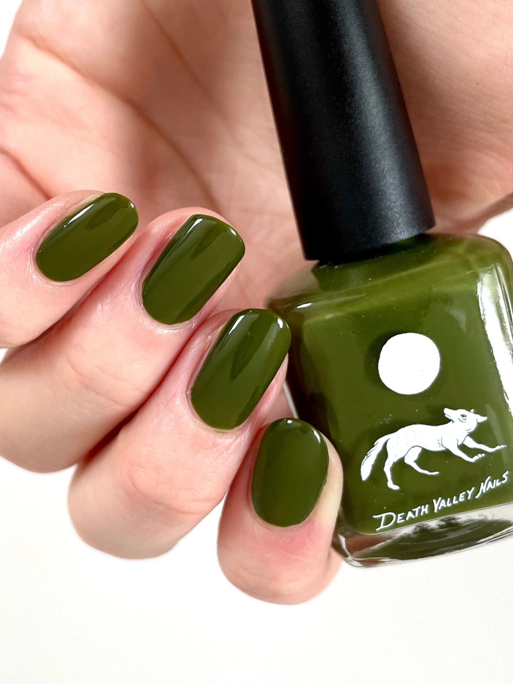 CROCODILIA – Death Valley Nails