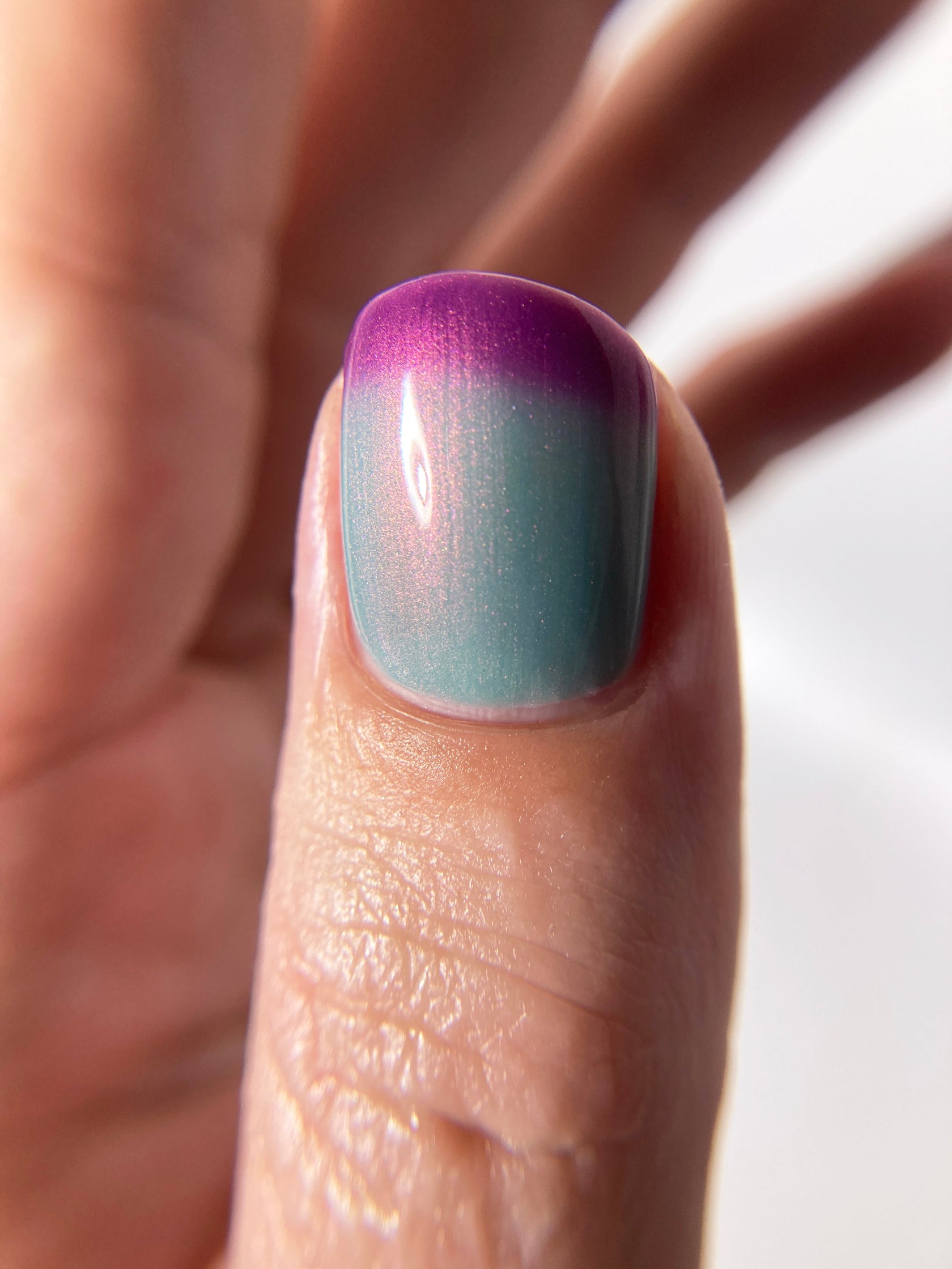 TWO TICKS AND NO DOG (thermal) – Death Valley Nails