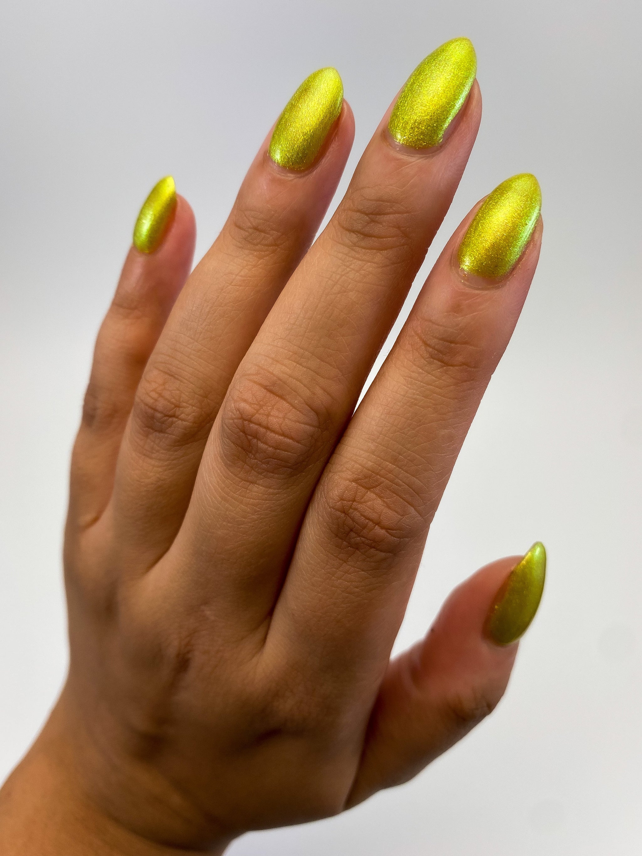 TERRESTRIAL SLUG – Death Valley Nails