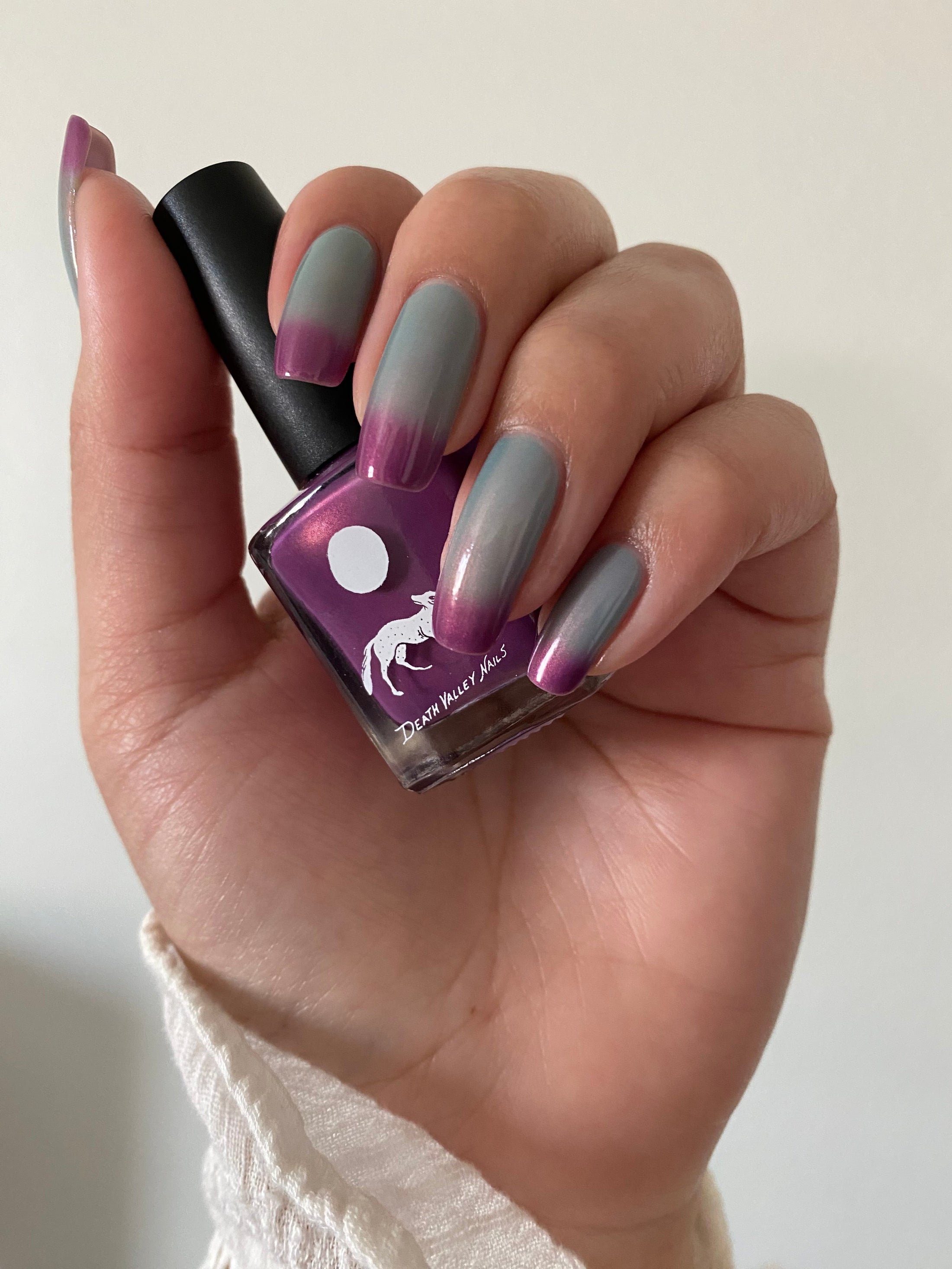 TWO TICKS AND NO DOG (thermal) – Death Valley Nails